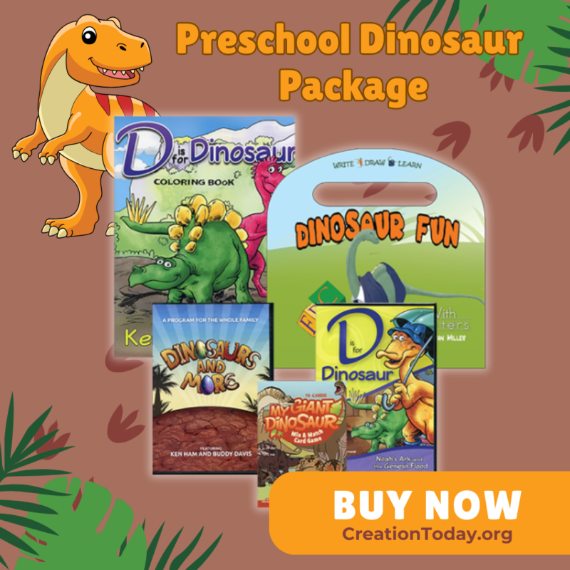 Preschool Dinosaur Package - Creation Today