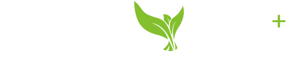 On-Demand - All Listings Page - Creation Today