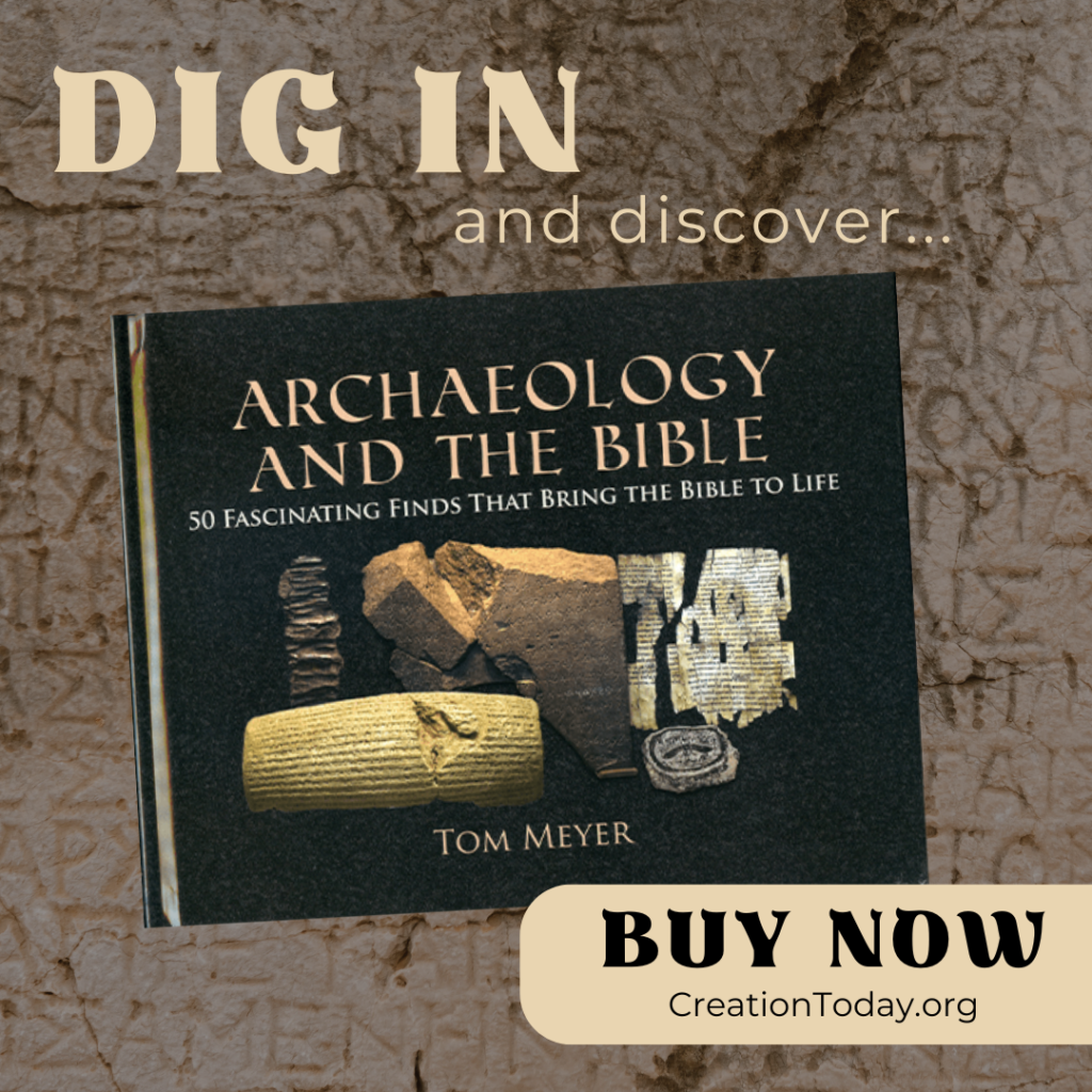 Archaeology and the Bible: 50 Fascinating Finds that Bring the Bible to ...